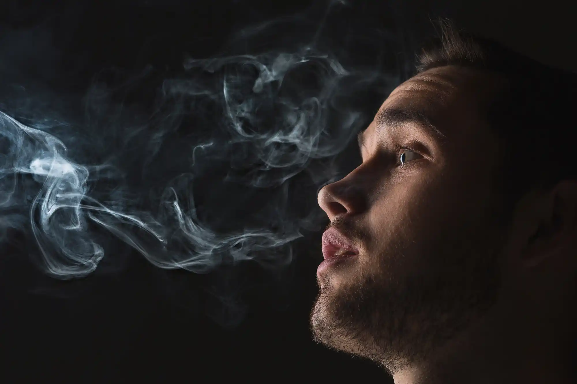 Smoking and Brain Health: How It Affects Neuroplasticity | Save Your ...
